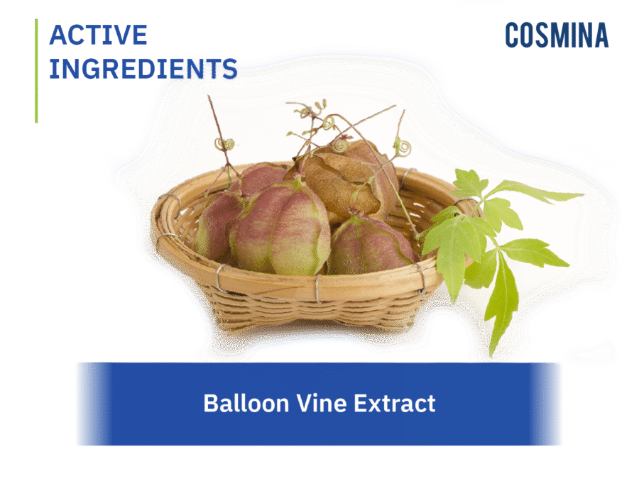 Ballon Vine Extract - COSMINA