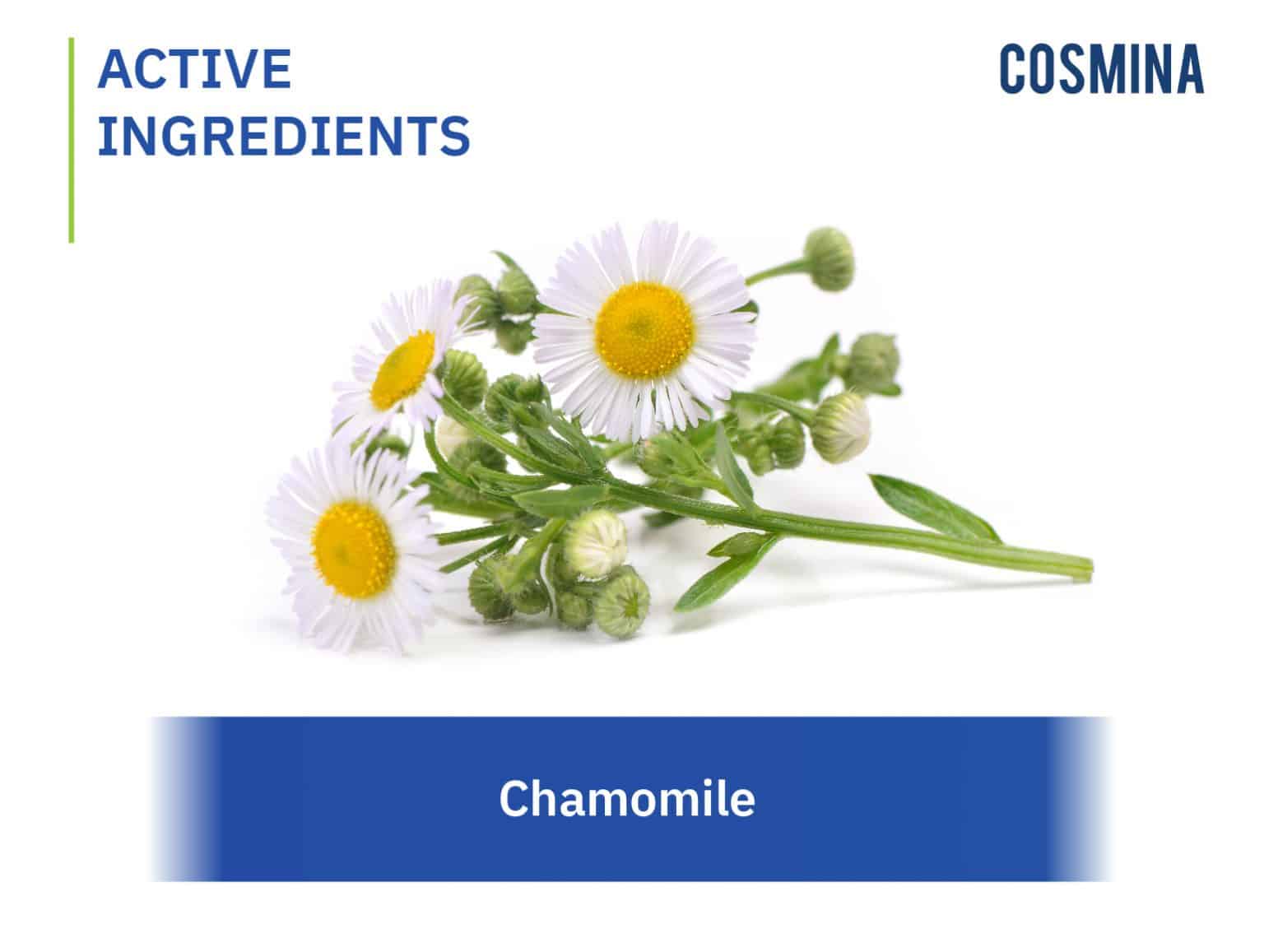 Chamomile (สารสกัดจากดอกคาโมมายด์) - COSMINA