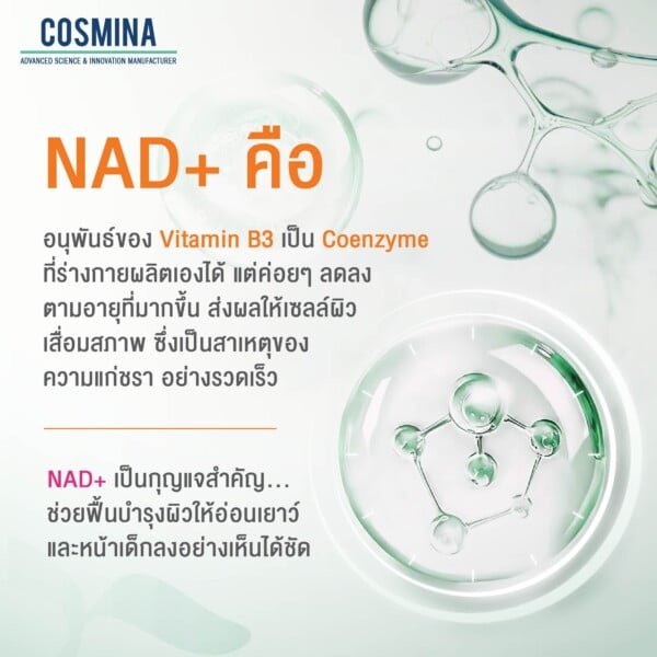 NAD+ กุญแจบูสต์ผิวหน้าเด็ก เทรนด์ใหม่มาแรง 2024 - COSMINA