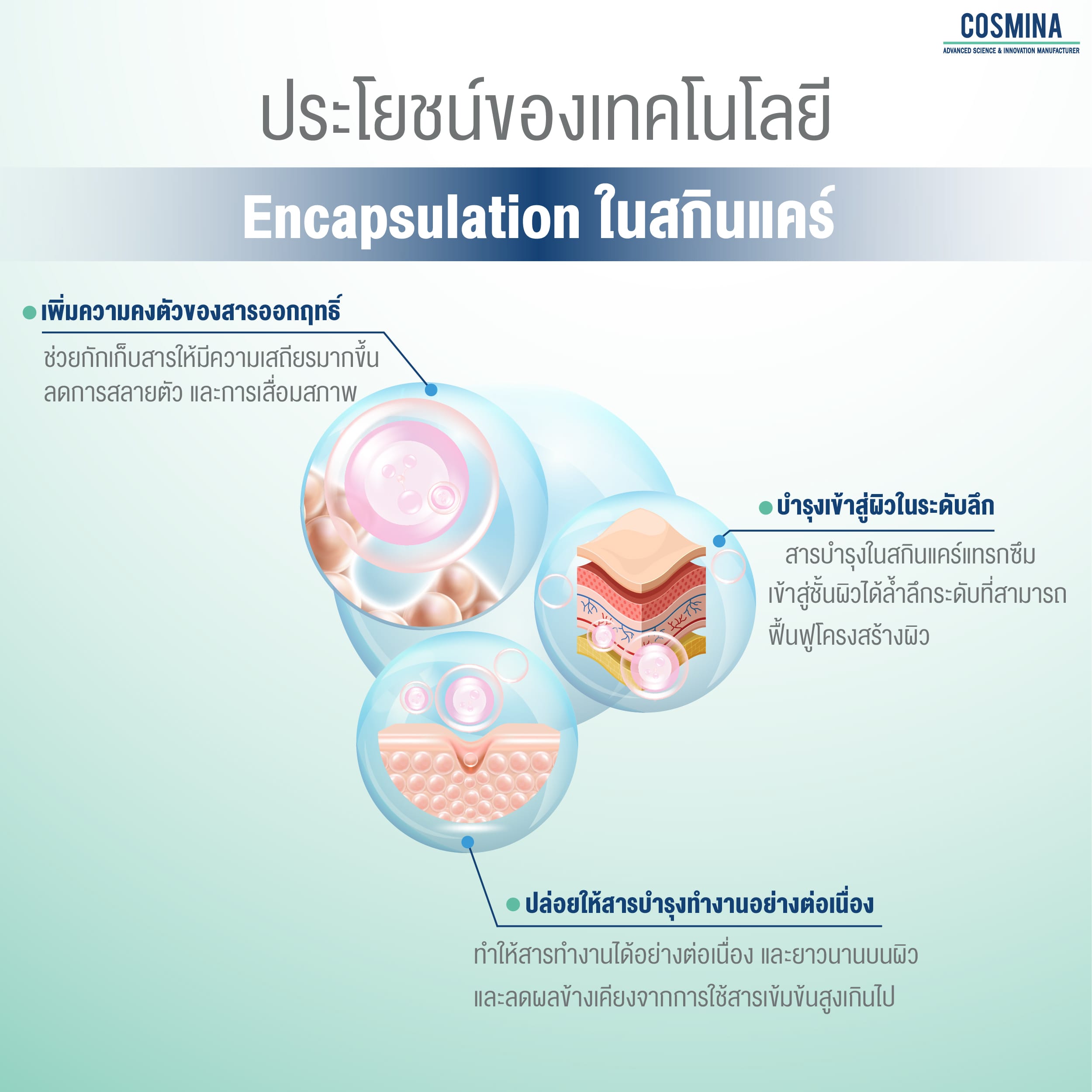 เทคโนโลยี Encapsulation ในสกินแคร์ เพื่อการบำรุงผิวอย่างตรงจุด - COSMINA