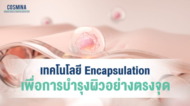 เทคโนโลยี Encapsulation ในสกินแคร์ เพื่อการบำรุงผิวอย่างตรงจุด - COSMINA