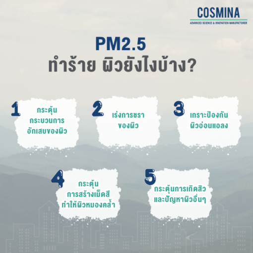 PM 2.5 คือตัวการทำร้ายผิว ! รู้ทันมลภาวะ พร้อมวิธีปกป้องผิวอย่างถูกต้อง ...