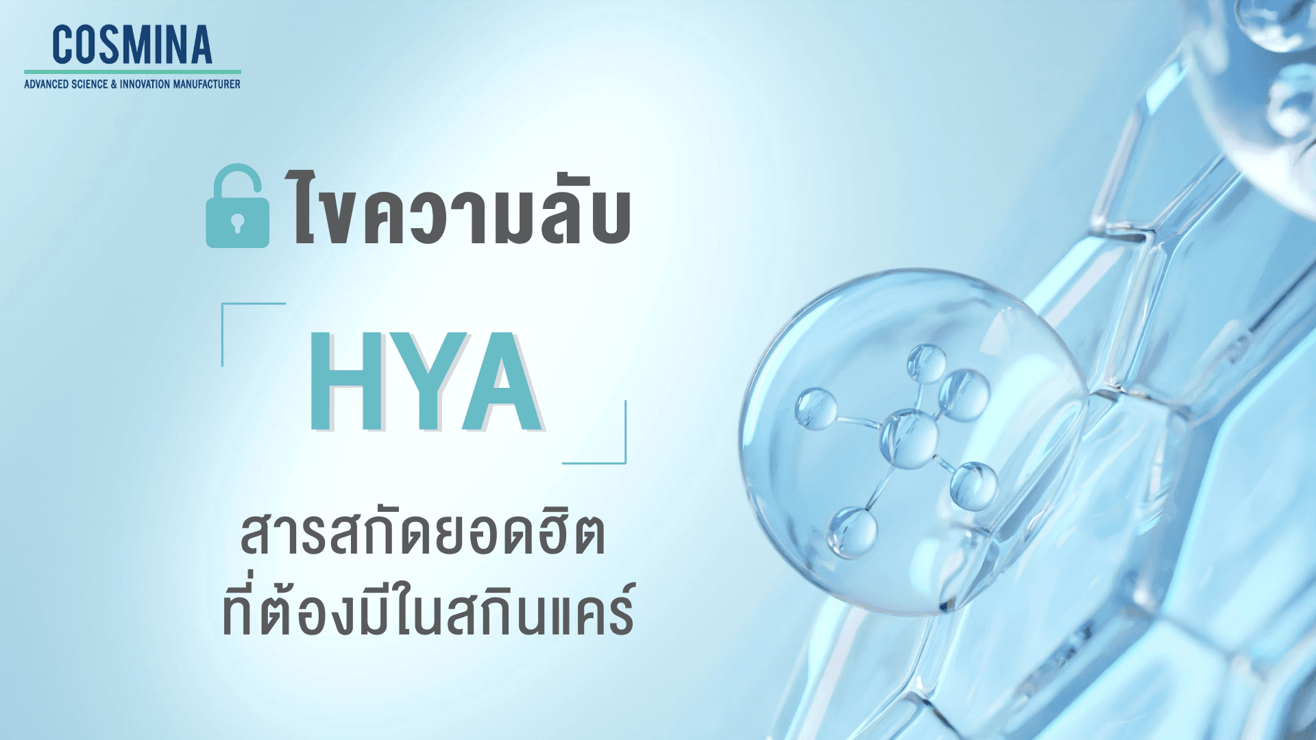 HYA คืออะไร? ไขความลับสารสกัดยอดฮิตที่ต้องมีในสูตรผลิตสกินแคร์ - COSMINA