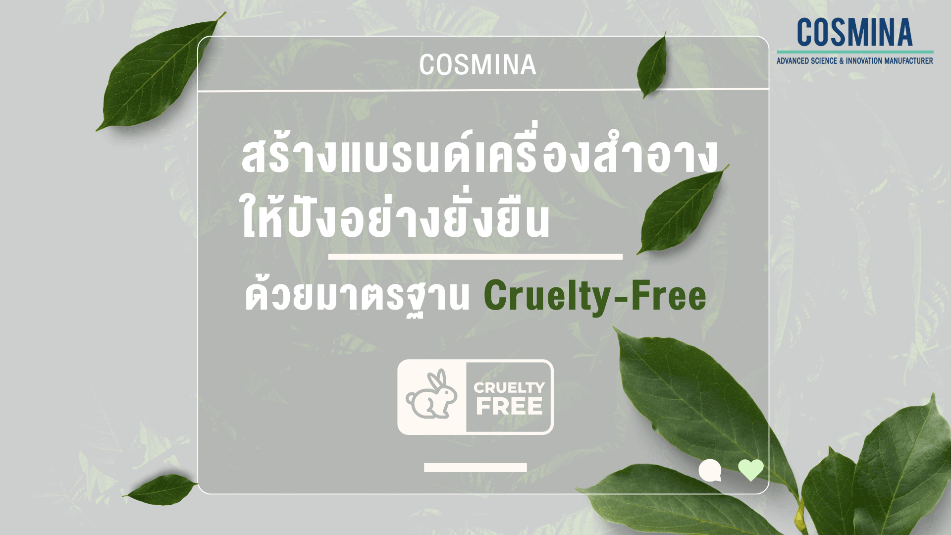ผลิตเครื่องสำอาง แบรนด์ตัวเอง ให้ปังอย่างยั่งยืน ด้วยมาตรฐาน Cruelty ...