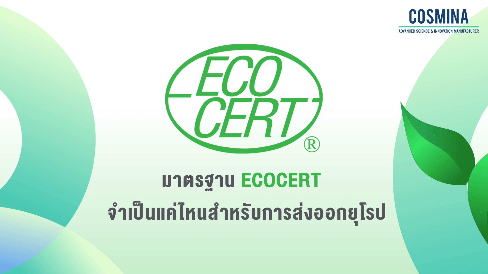มาตรฐาน ECOCERT จำเป็นแค่ไหนสำหรับการส่งออกยุโรป? - COSMINA