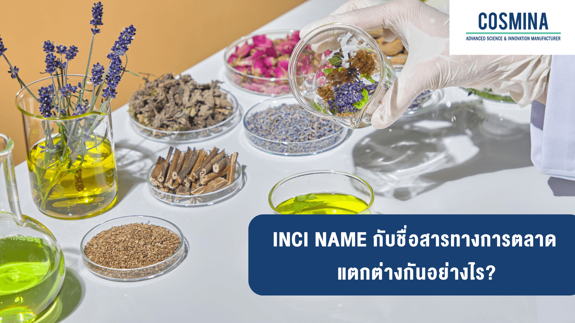 INCI Name กับชื่อสารทางการตลาด แตกต่างกันอย่างไร - COSMINA