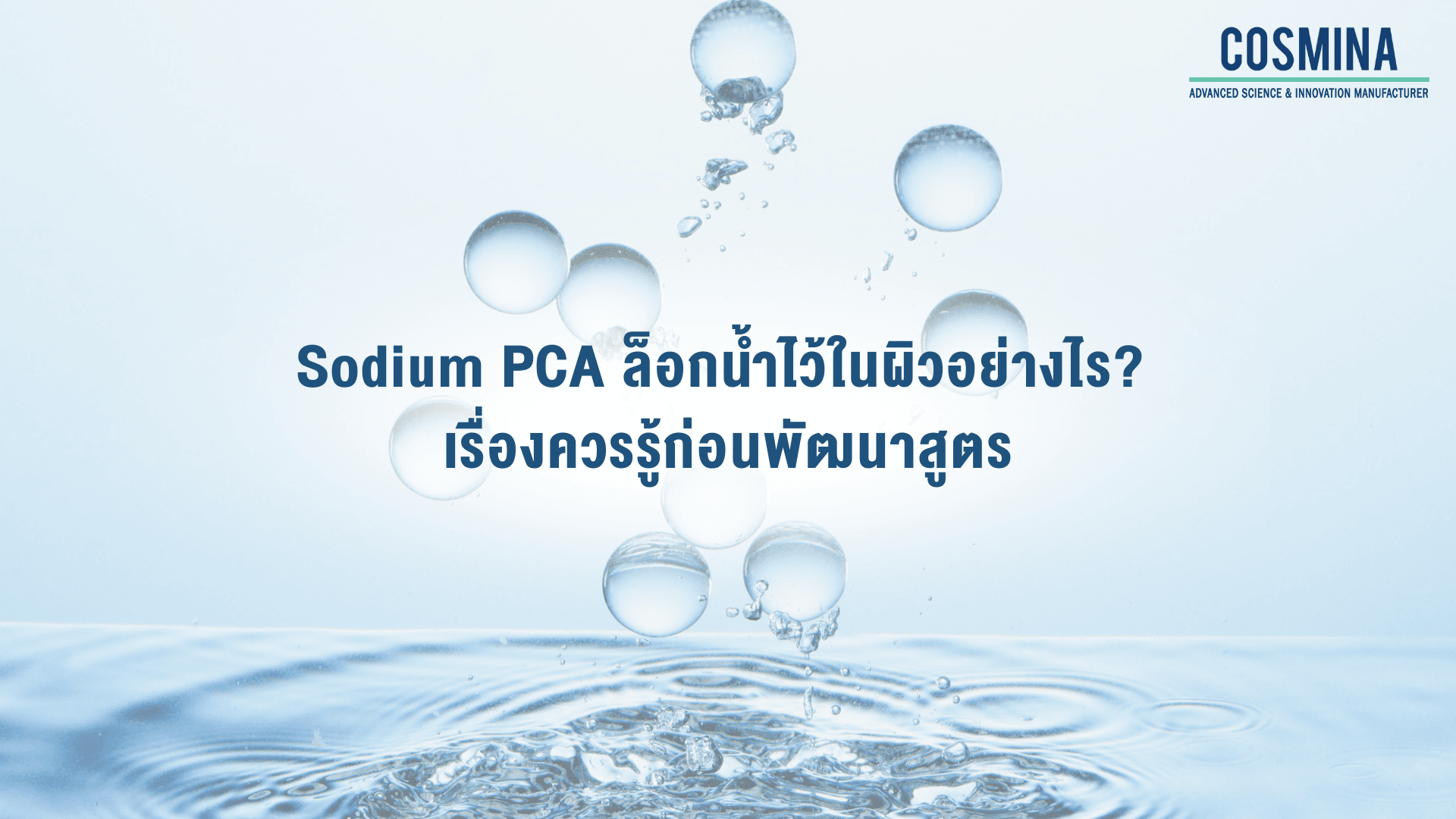 Sodium PCA ช่วยล็อกน้ำไว้ในผิวอย่างไร ? ความรู้พื้นฐานที่ต้องรู้ก่อน ...