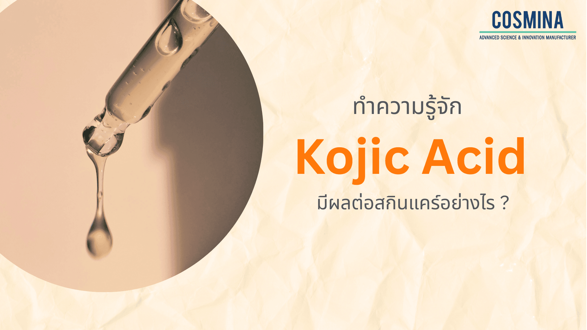 ทำความรู้จัก Kojic Acid คือสารอะไร? มีผลต่อประสิทธิภาพสกินแคร์อย่างไร ...