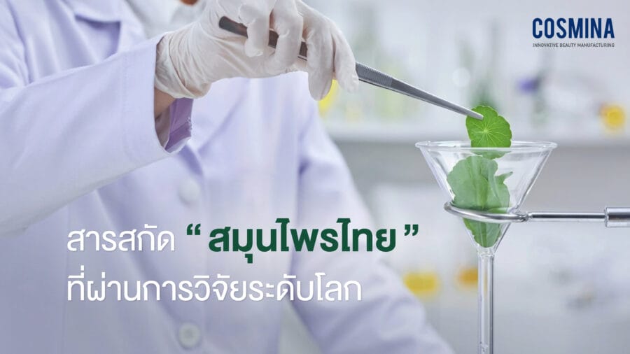 แนะนำ 5 สารสกัดสมุนไพรไทย ที่ผ่านการวิจัยระดับโลก - COSMINA