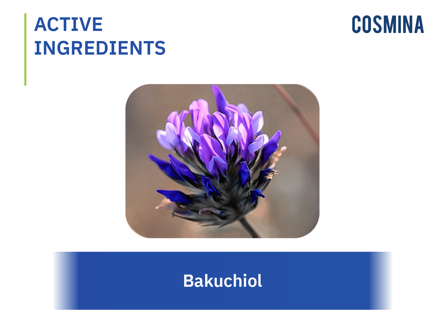 Bakuchiol