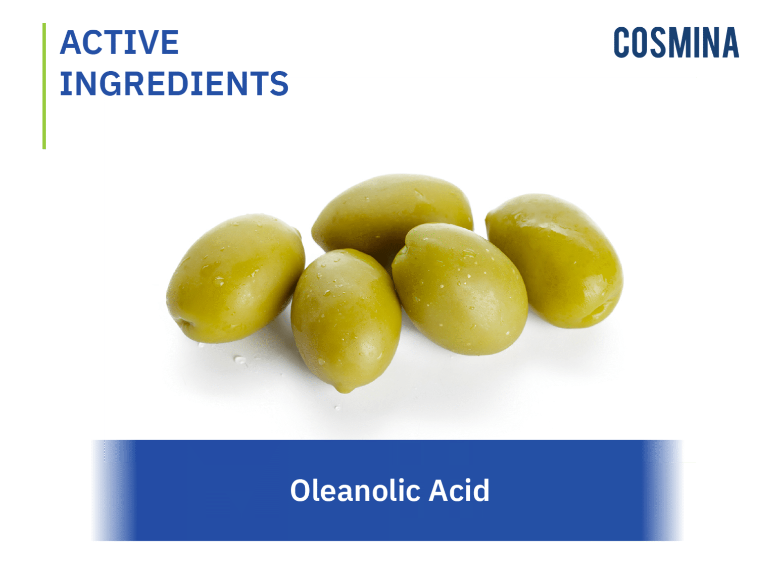 Oleanolic Acid (สารที่ได้จากการสกัดมะกอก) - COSMINA