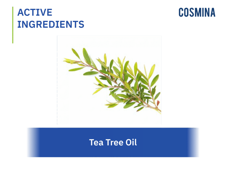 Tea Tree Oil - COSMINA