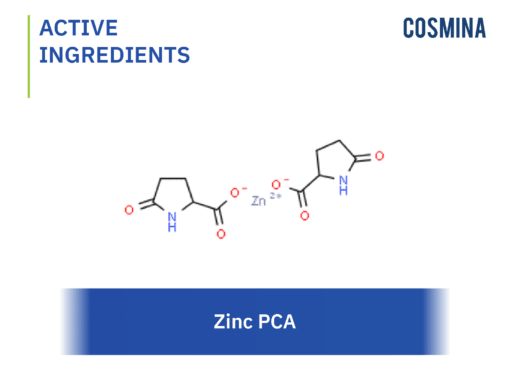Zinc PCA - COSMINA